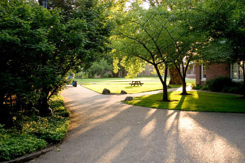 The Top 5 Online Master's In Homeland Security Degree Programs