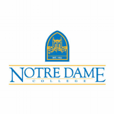 The Top 24 Associates Degree Programs in Business for 2019