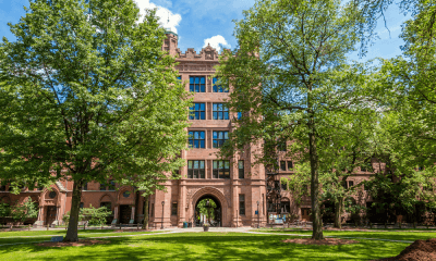 Top 5 Online Masters In Human Resources Degree Programs