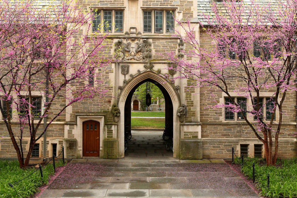 15 Best Psychology Schools | BestCollegeReviews